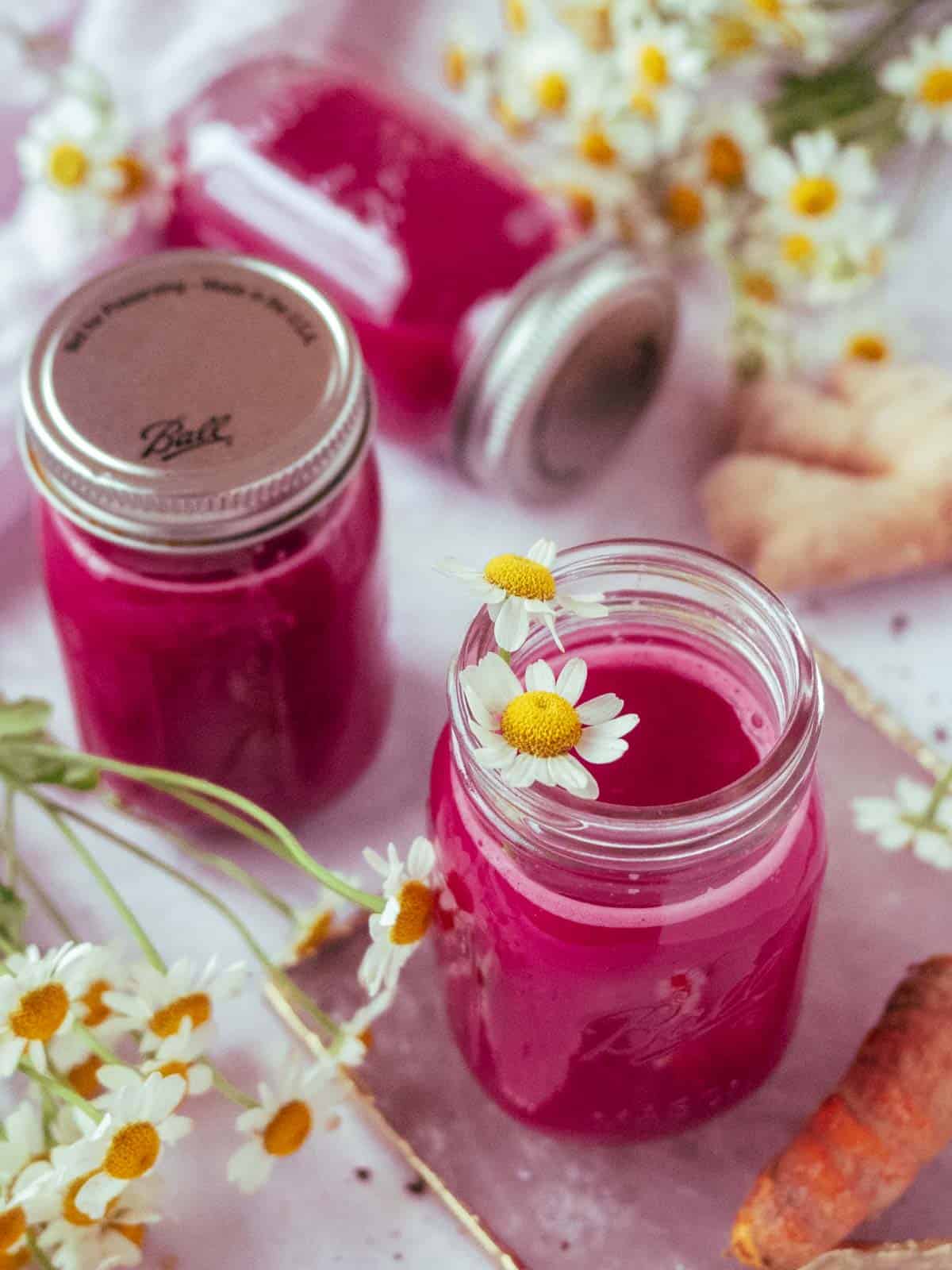 Antioxidant Purple Ginger Immunity Shots - Yoko's kitchen