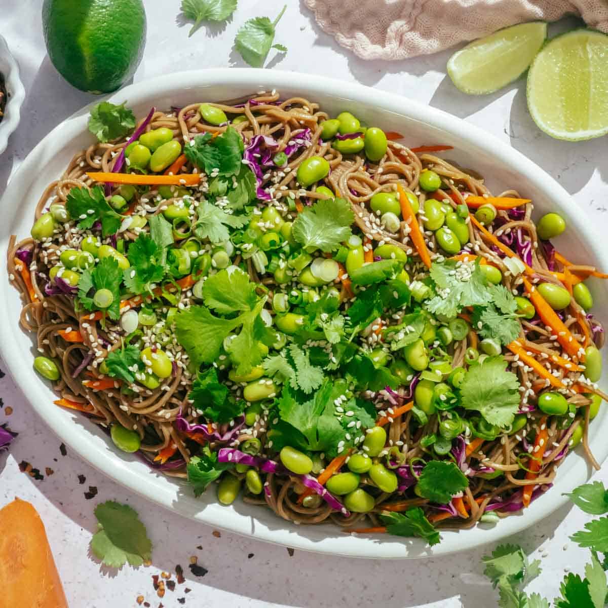Cold Soba Noodle Salad (Refreshing Japanese Summer Recipe) - Yoko's kitchen